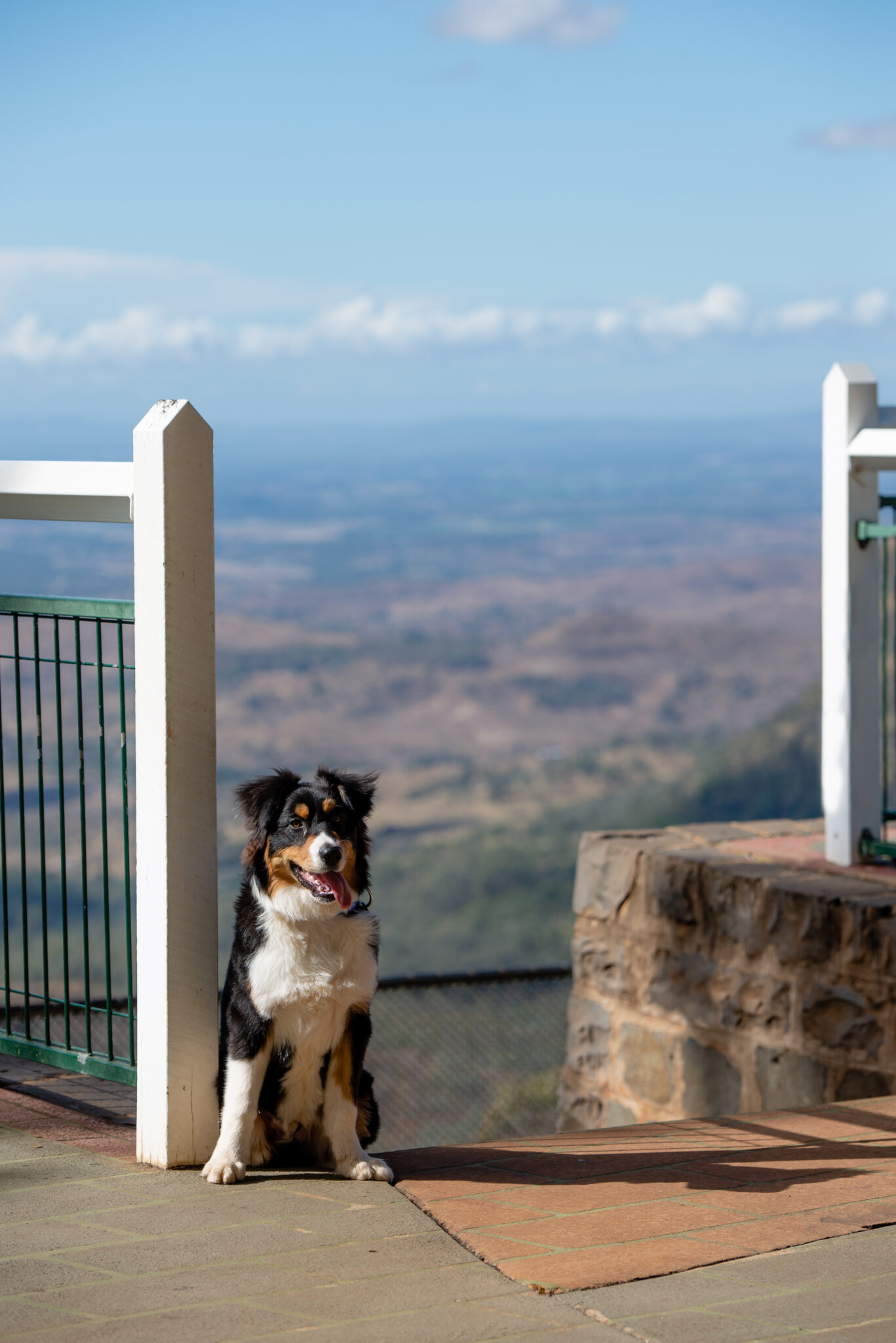 Café Hound – Toowoomba Carnival of Flowers