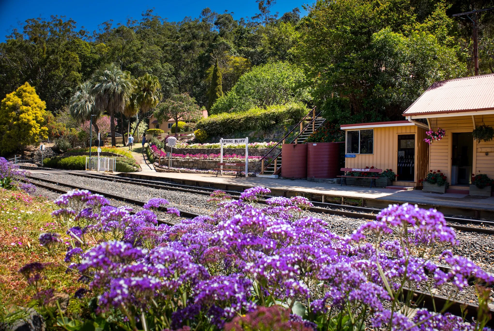 Spring Bluff Gardens – Toowoomba Carnival of Flowers